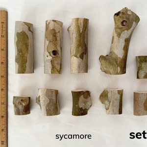 SCRAP Mini Wood Logs 10-16ct, Seconds Wood for Crafts, Tree Supply ...