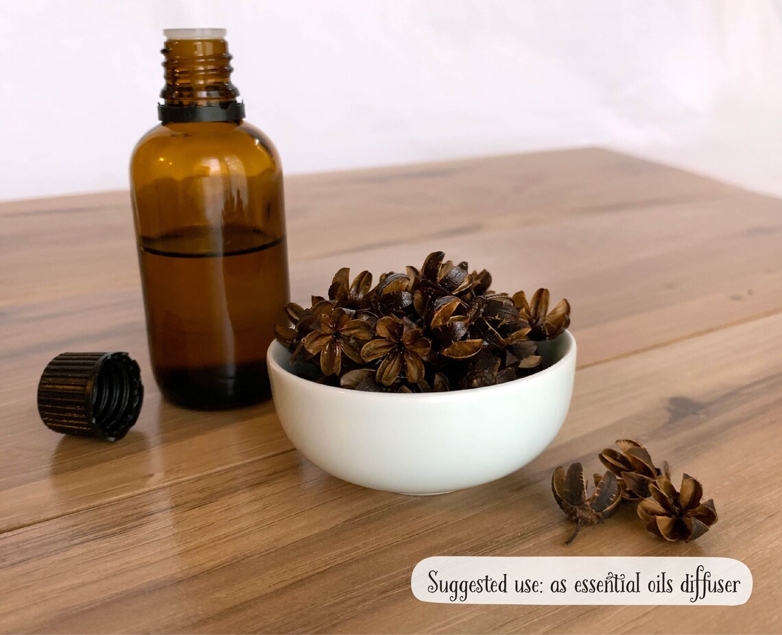 Dried Crepe Myrtle Seed Pods in Assorted Sizes Natural Dried - Etsy