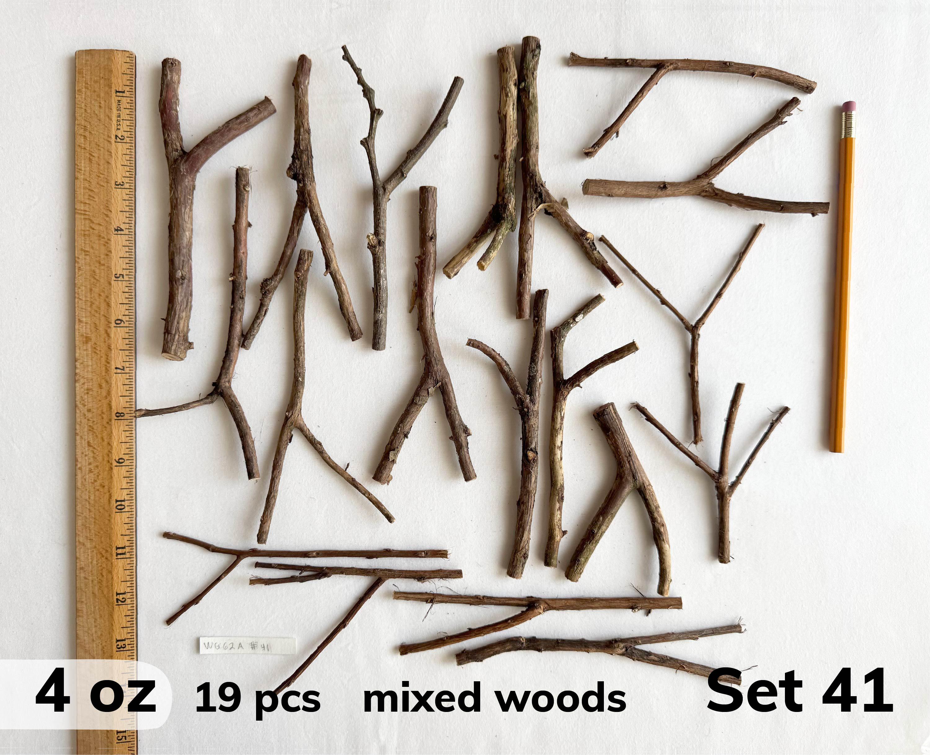 SCRAP Mini Forked Branches, Forked Tip Limbs, Assorted Sticks With Fork ...