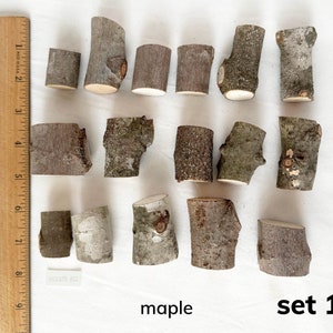 SCRAP Mini Wood Logs 10-16ct, Seconds Wood for Crafts, Tree Supply ...