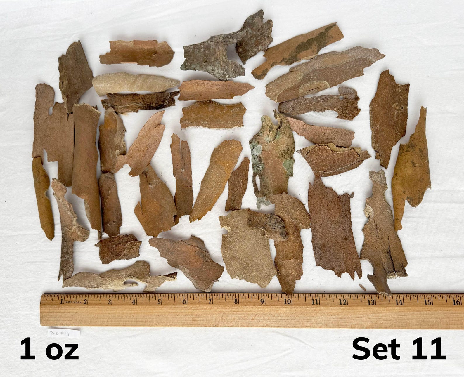 Sycamore Bark 1 Oz, Natural Tree Bark, Curly Bark Pieces, Forest Craft ...