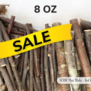 SCRAP Mini Wood Sticks 8 Oz, Red Birch Branches, Seconds Wooden Twigs ...
