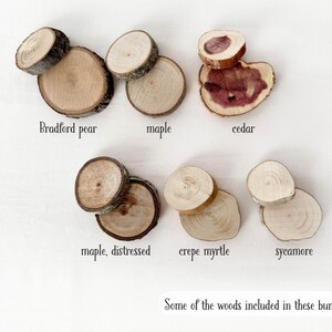 Small Wood Slices Bundle 80-100 Ct, Bulk Wooden Circles, Wood Disk From ...