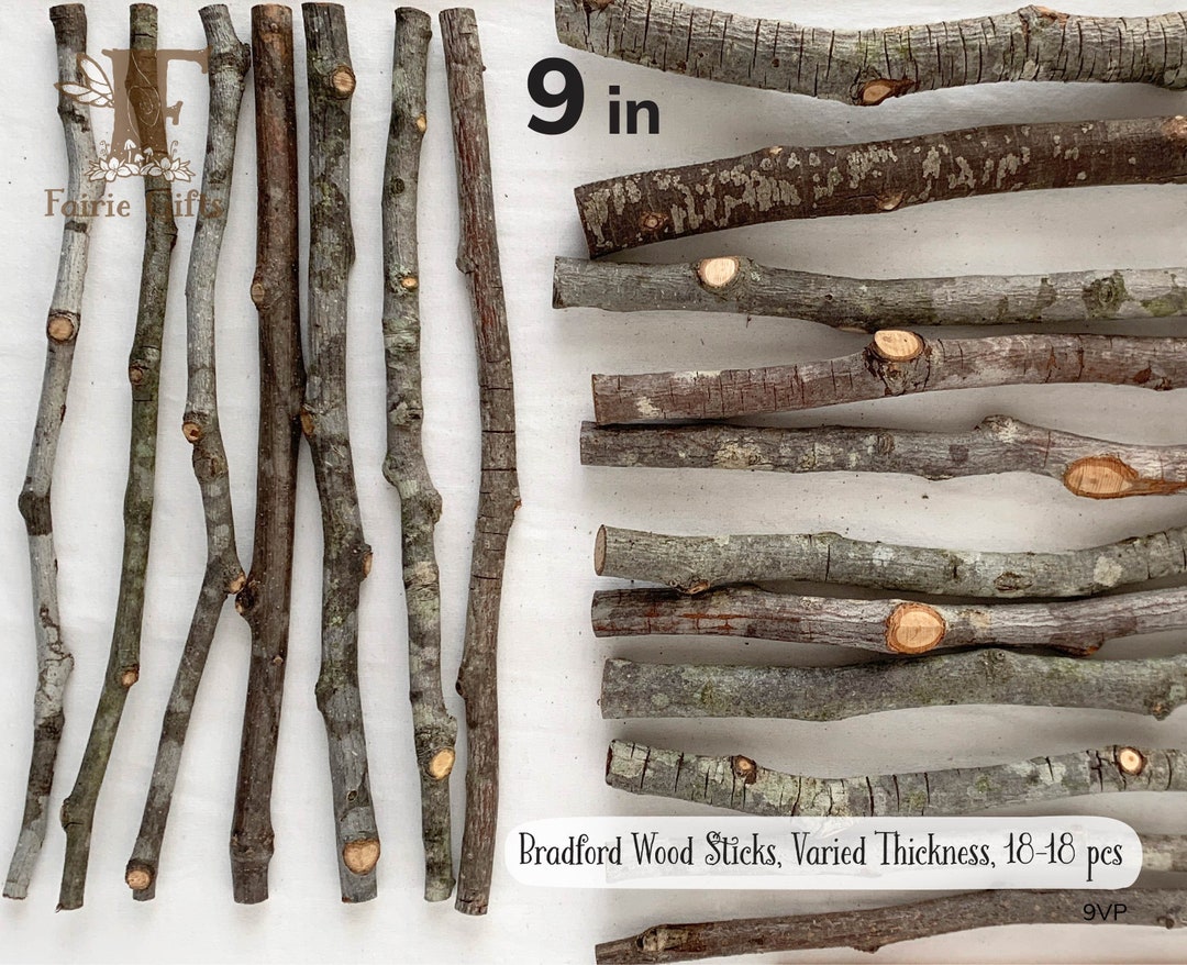 Wood Sticks 9 In, Bradford Branches 8-18 Ct, Dried Wooden Sticks, Twig ...