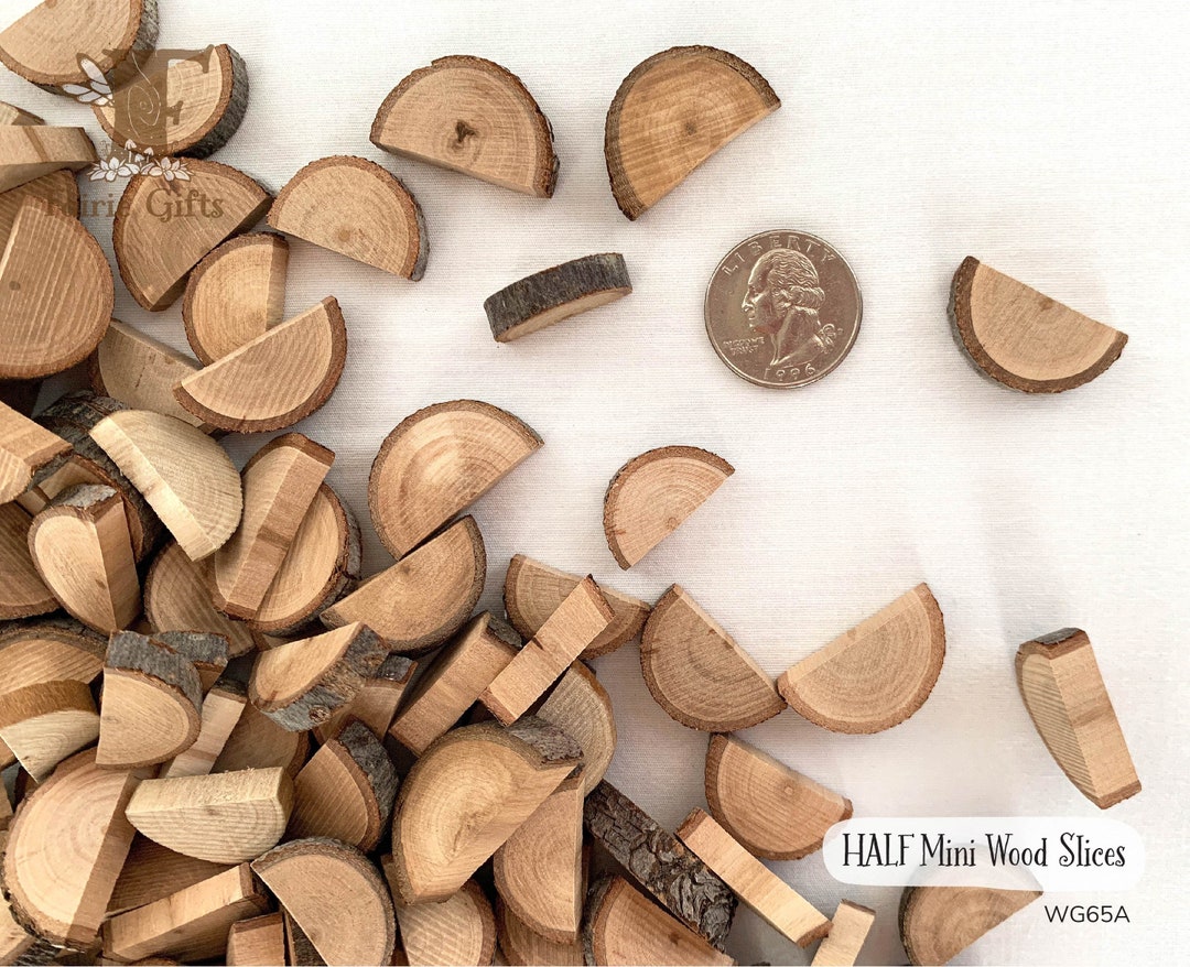 HALF Miniature Wood Rounds From Mixed Woods, Fairy Wood Disk, Bulk Wood ...