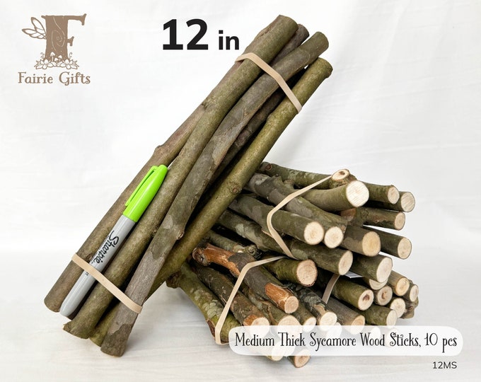 Medium Thick Wood Sticks 12 In, Sycamore Branches 10 Ct, Wooden Sticks ...