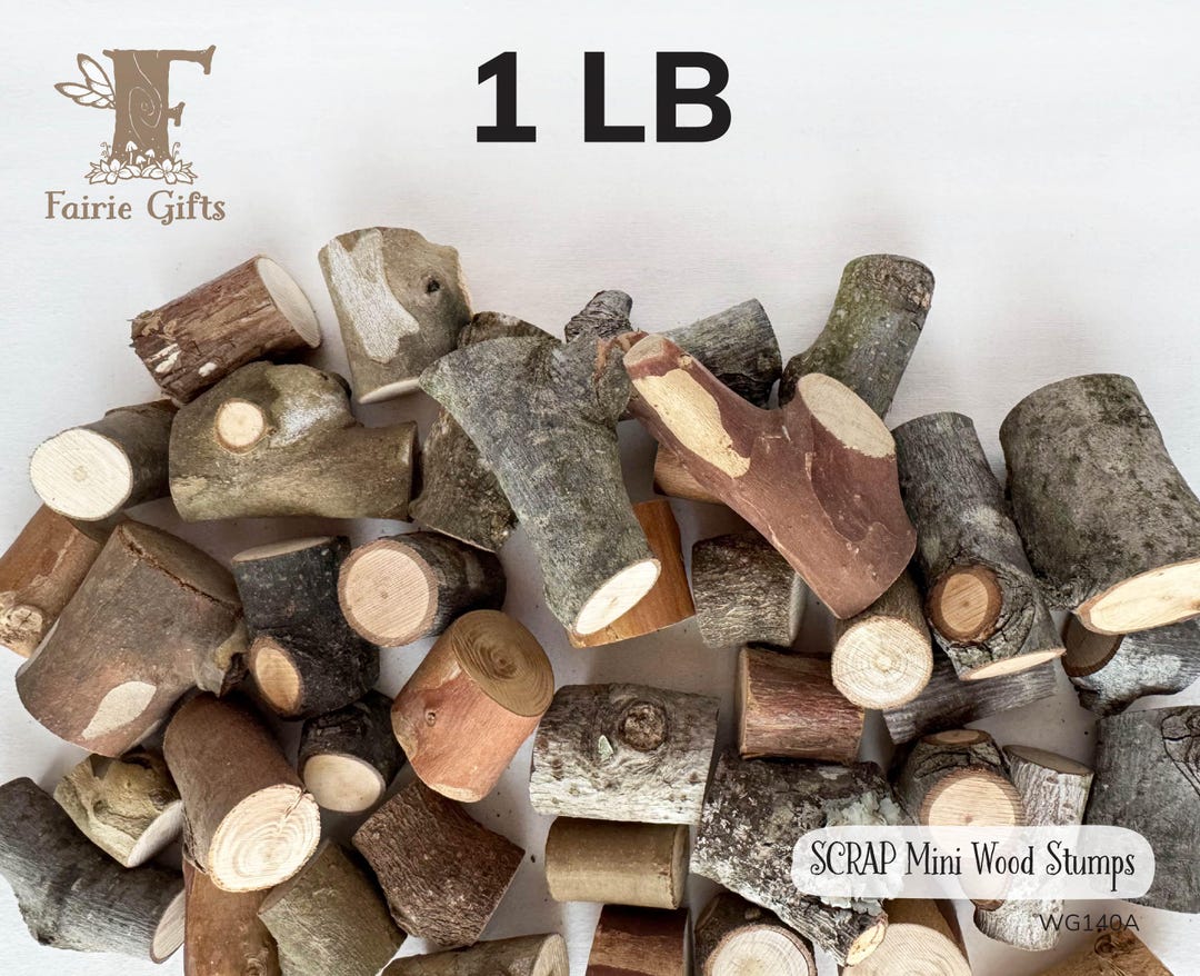 SCRAP Mini Wood Stumps 1 Lb, Seconds Wooden Miniature Logs in Assorted ...