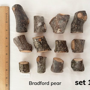 SCRAP Mini Wood Logs 10-16ct, Seconds Wood for Crafts, Tree Supply ...