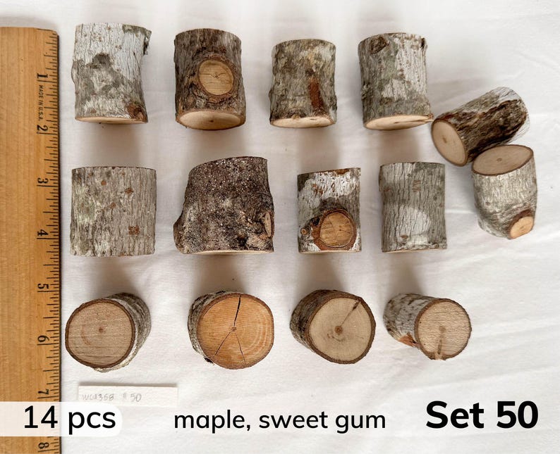 SCRAP Mini Wood Logs 3-16 Ct, Seconds Wood for Crafts, Tree Supply ...
