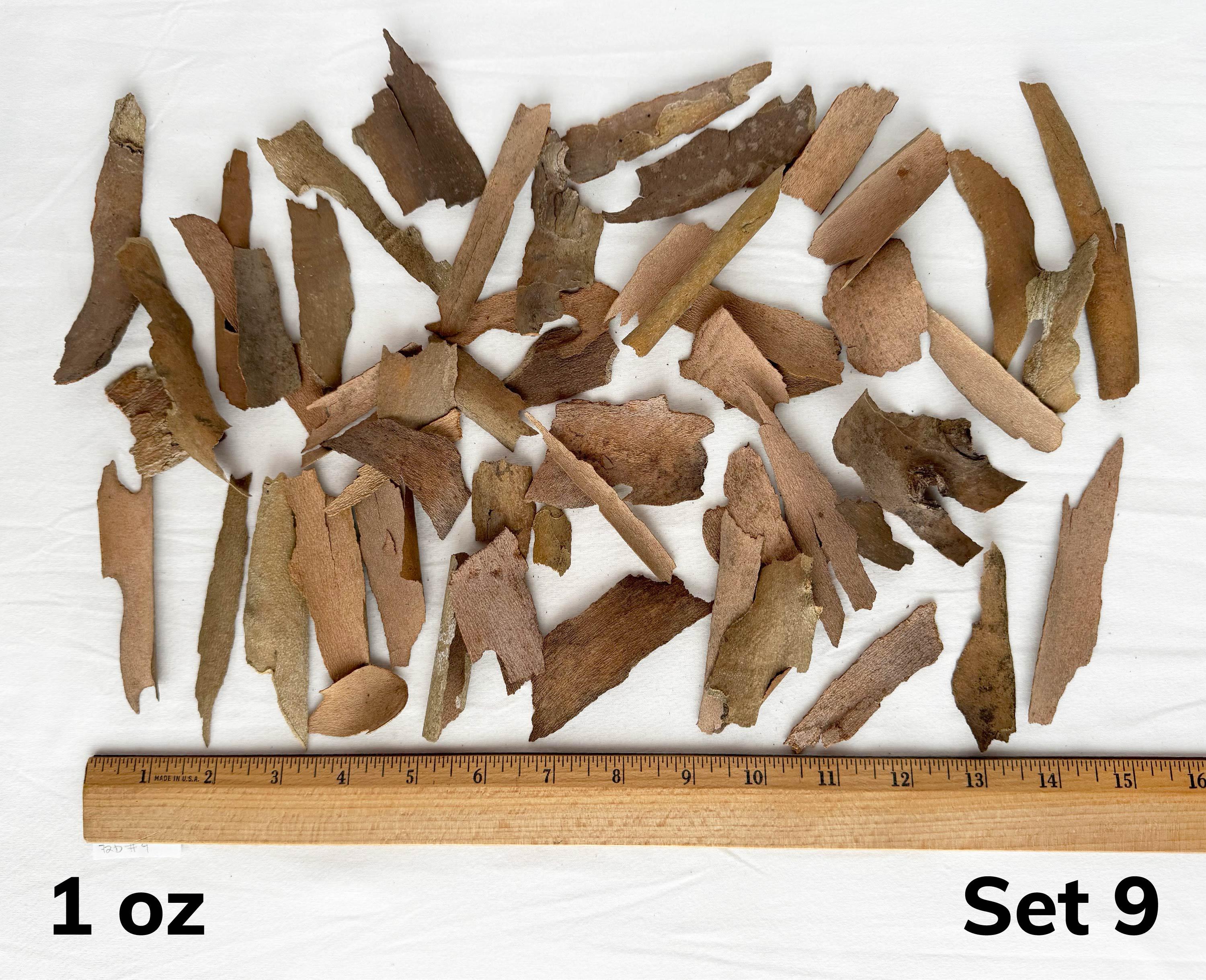 Sycamore Bark 1 Oz, Natural Tree Bark, Curly Bark Pieces, Forest Craft ...