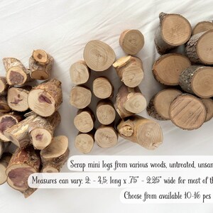 SCRAP Mini Wood Logs 10-16ct, Seconds Wood for Crafts, Tree Supply ...