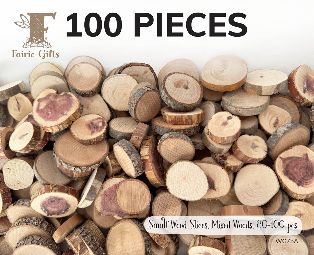 Small Wood Slices Bundle 80-100 Ct, Bulk Wooden Circles, Wood Disk From ...