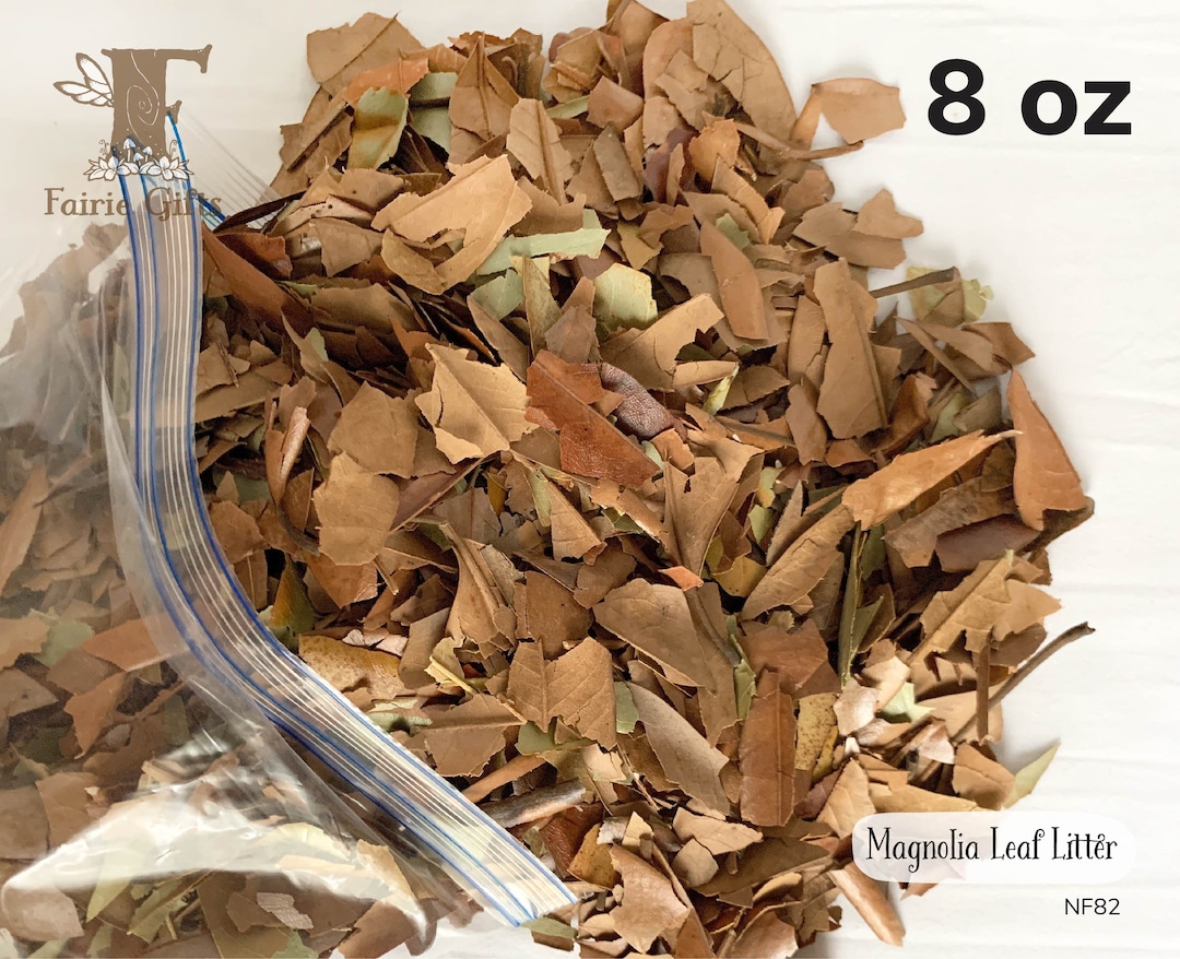 Southern Magnolia Leaf Litter, Cracked Dried Magnolia Leaf Compost, for ...