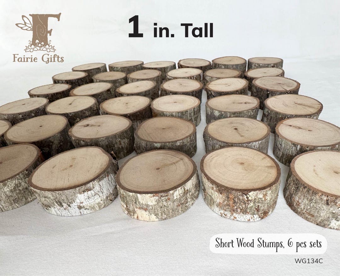 Short Wood Stumps 1 In. Tall, Small Wood Trunks 6 Ct, Mini Wood Logs ...