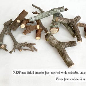 SCRAP Mini Forked Branches, Forked Tip Limbs, Assorted Sticks With Fork ...