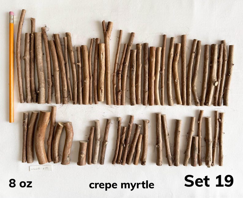 SCRAP Mini Wood Sticks 8 Oz, Crepe Myrtle Branches, Seconds Wooden ...