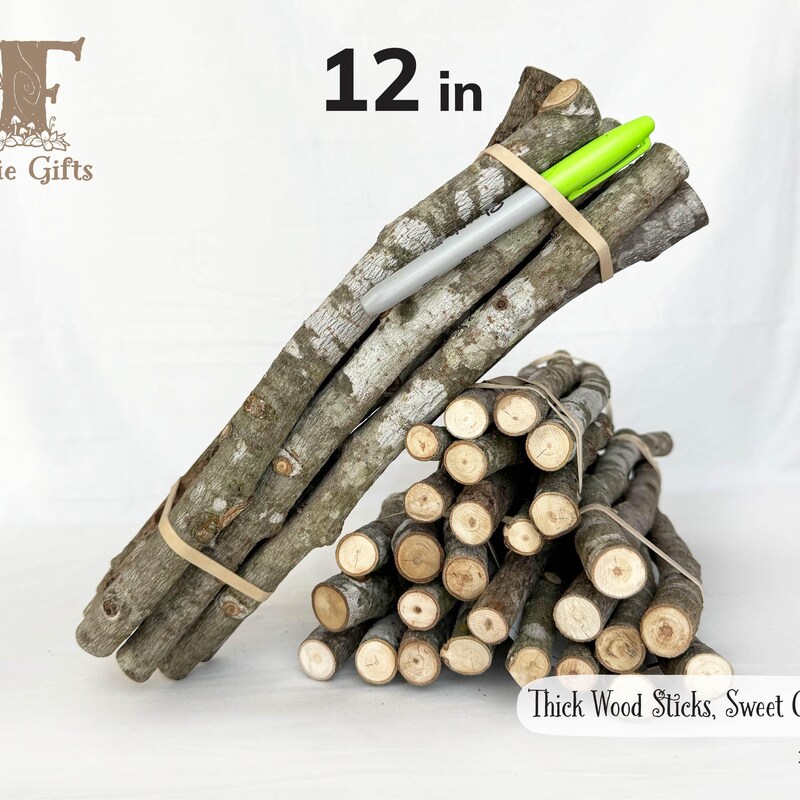 Thick Tree Branch - Etsy