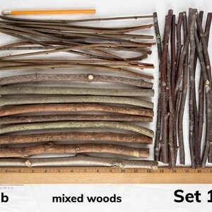 Wood Sticks 12 in One Pound, Wood Branches 1 Lb, Assorted Wooden Sticks ...
