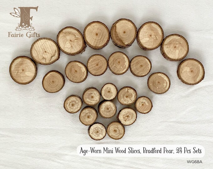 Age-worn Mini Wood Slices From Bradford Pear, Weathered Tree Slices ...