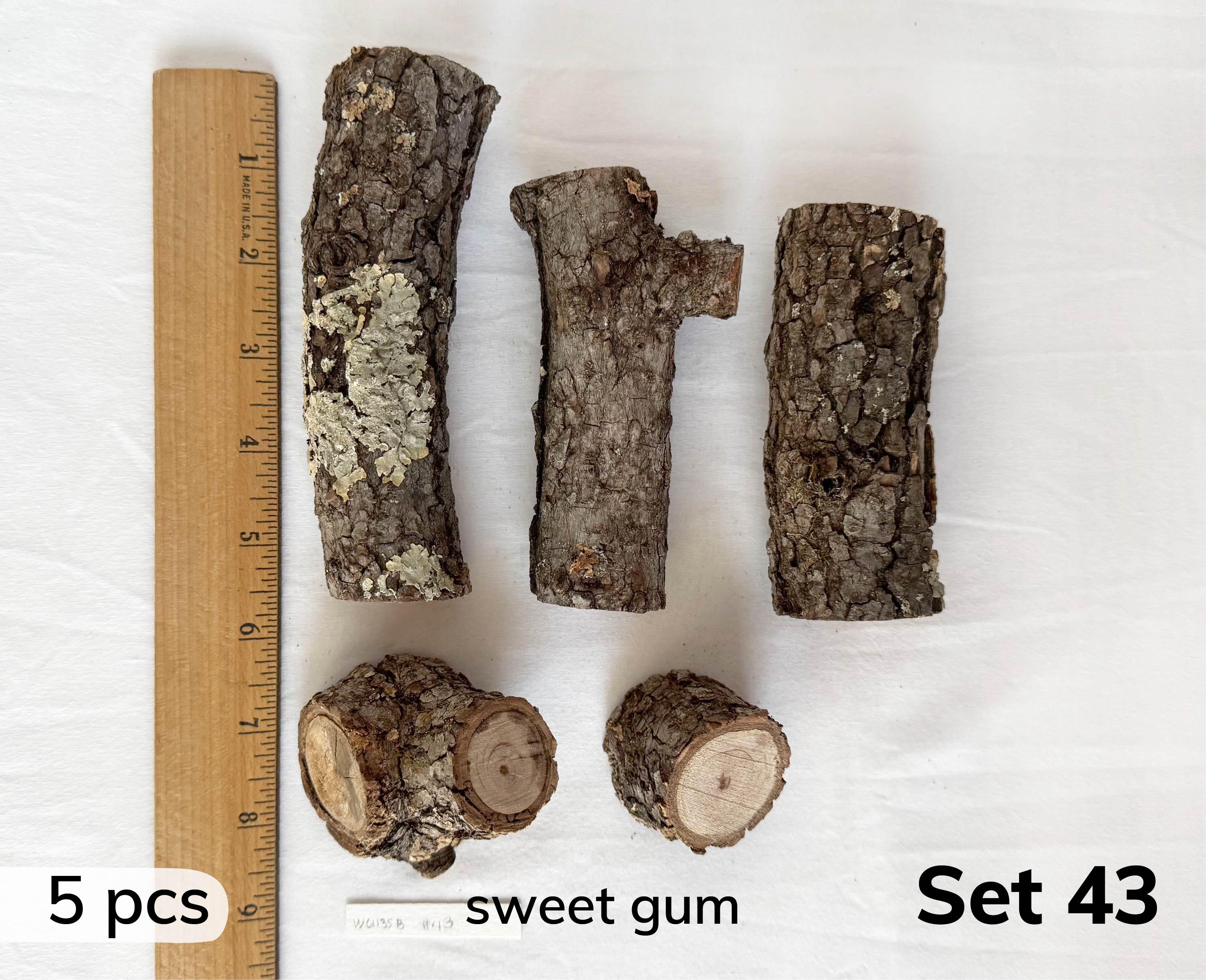SCRAP Mini Wood Logs 3-16 Ct, Seconds Wood for Crafts, Tree Supply ...