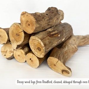 Decay Wood Logs, Scrap/ Seconds Wood for Crafts, Driftwood Logs ...