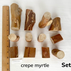 SCRAP Mini Wood Logs 10-16ct, Seconds Wood for Crafts, Tree Supply ...