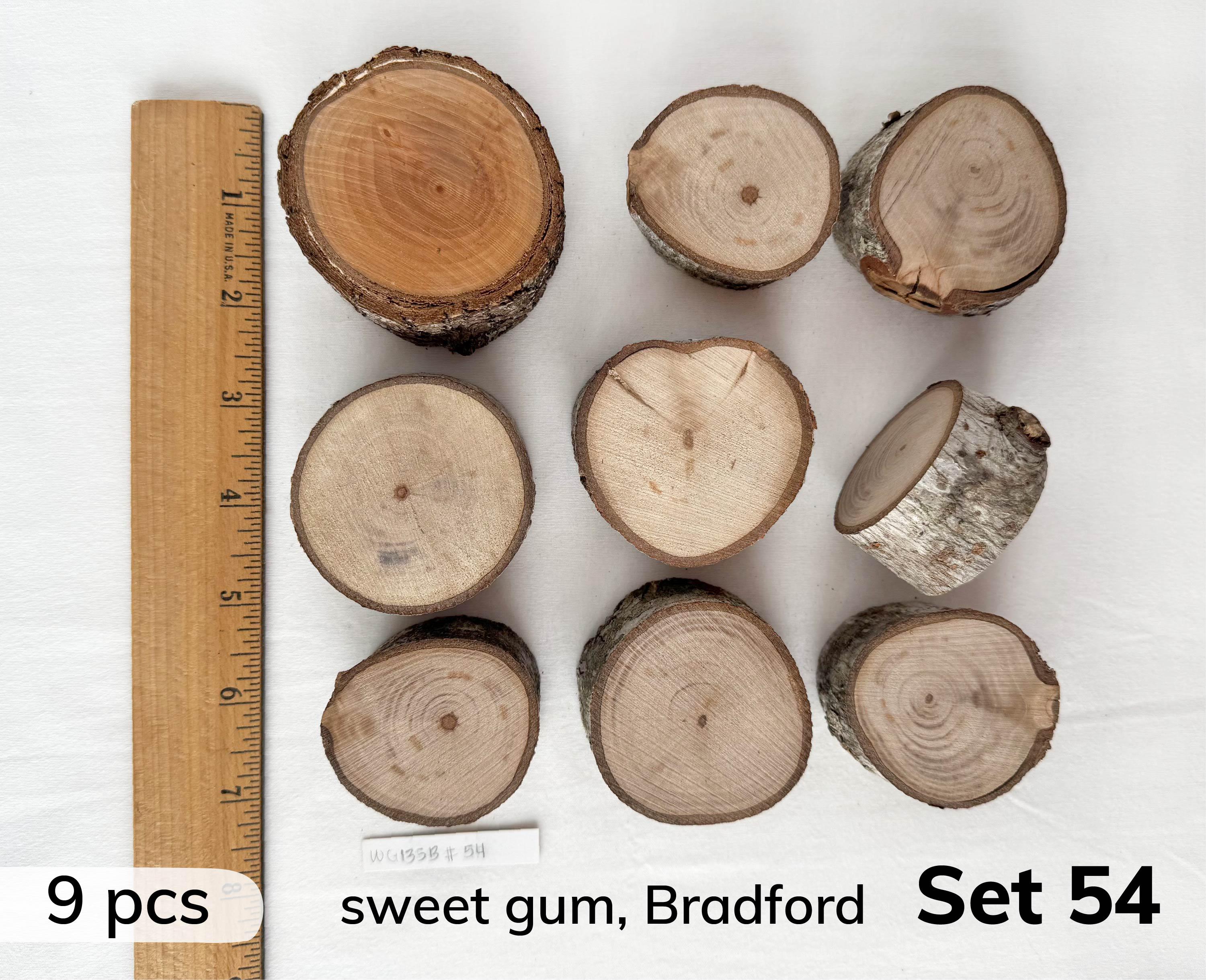 SCRAP Mini Wood Logs 3-16 Ct, Seconds Wood for Crafts, Tree Supply ...