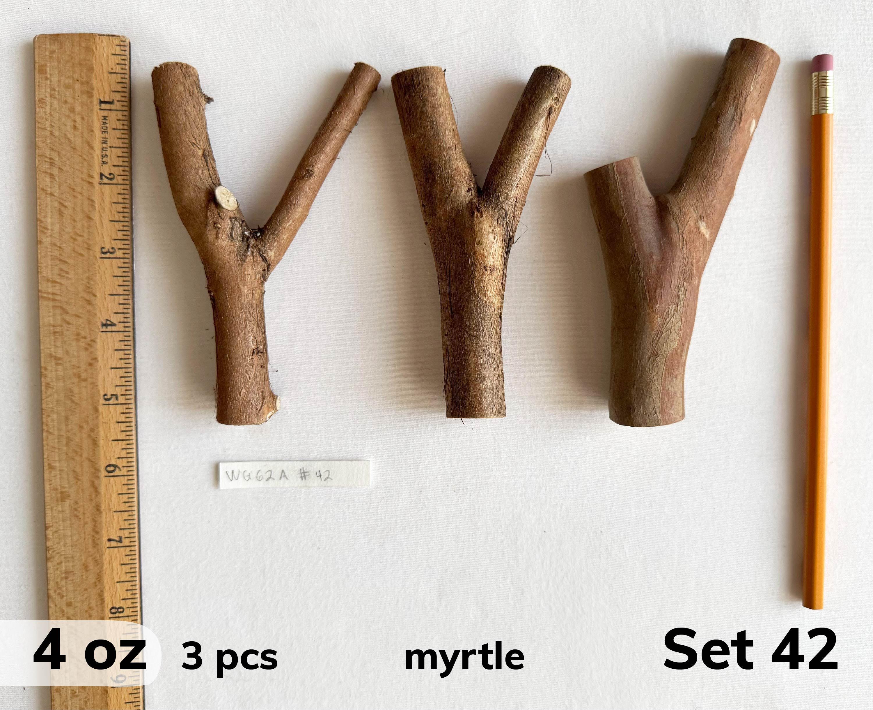 SCRAP Mini Forked Branches, Forked Tip Limbs, Assorted Sticks With Fork ...