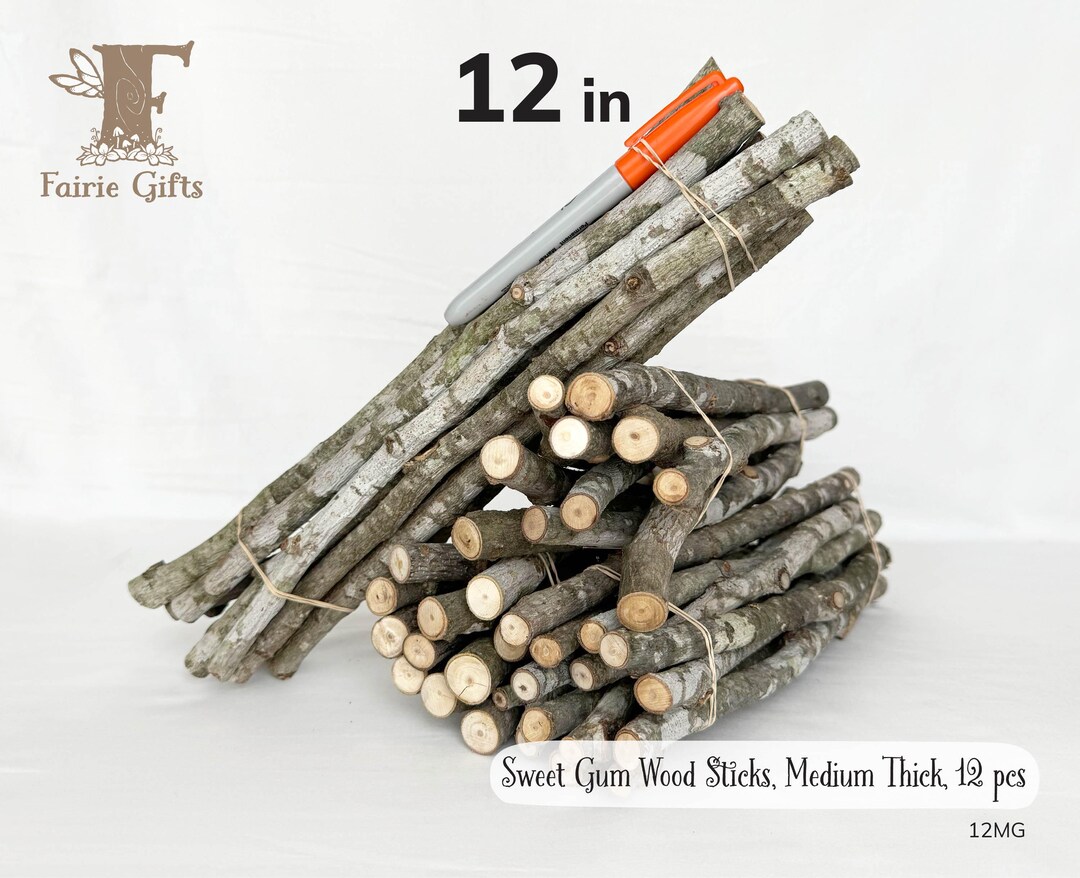 Medium Thick Wood Sticks 12 In, Sweet Gum Branches 10-12 Ct, Dried ...