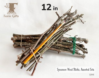 Ultra Thin Wood Sticks 16 In, Red Birch Branches 14-30 Ct, Dried Wooden ...