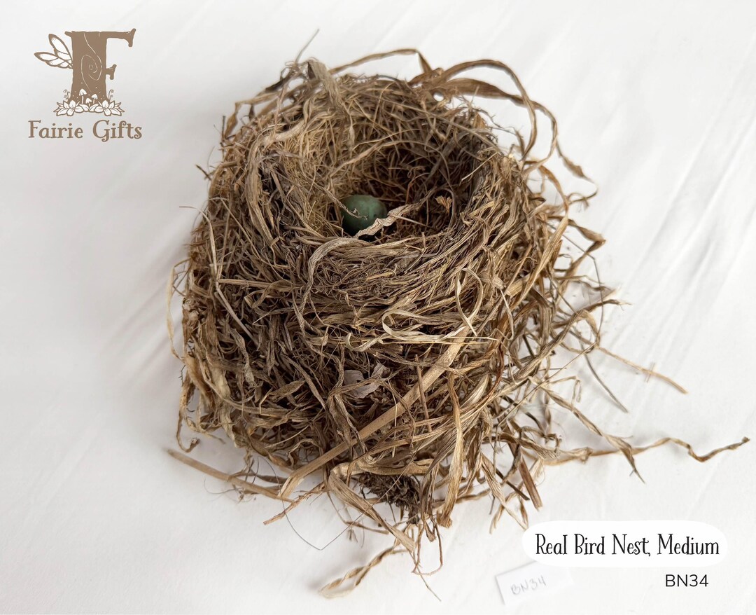 Real Bird Nest With Egg, Natural Bird Nest, Medium Bird Nest, Home ...