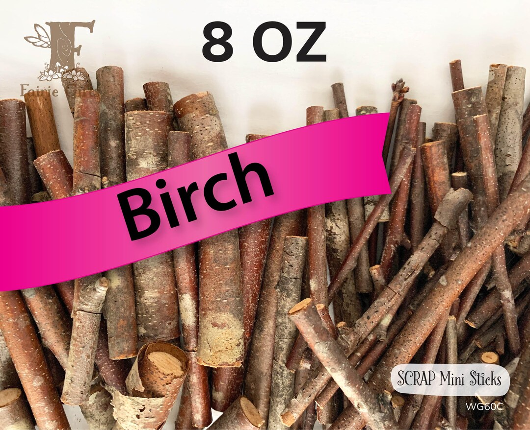 SCRAP Mini Wood Sticks 8 Oz, Red Birch Branches, Seconds Wooden Twigs ...