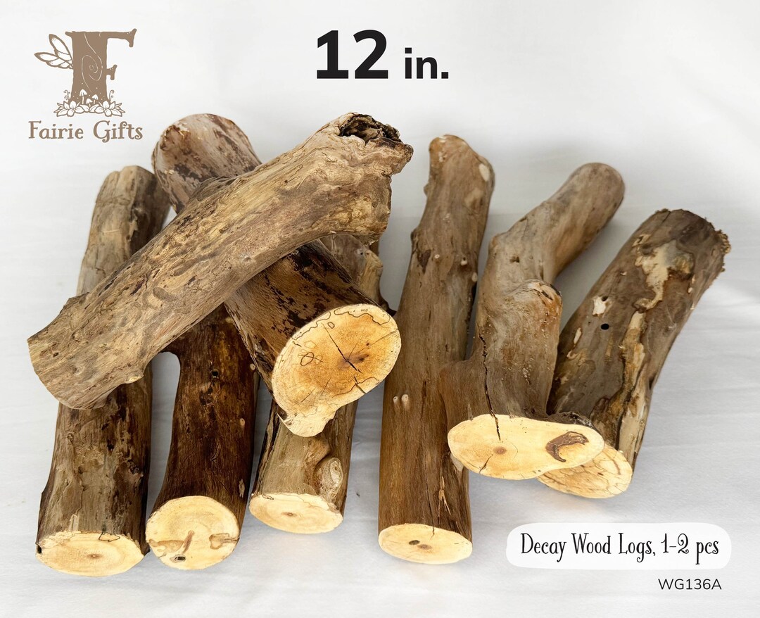 Decay Wood Logs, Scrap/ Seconds Wood for Crafts, Driftwood Logs ...