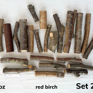 SCRAP Mini Wood Sticks 8 Oz, Red Birch Branches, Seconds Wooden Twigs ...