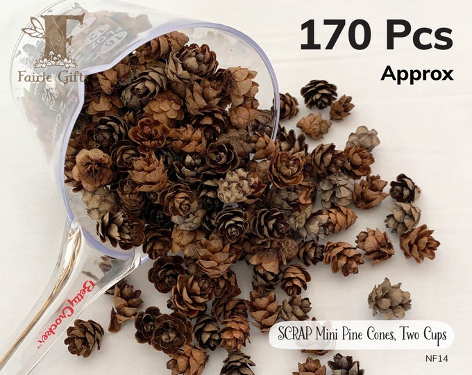 SCRAP Mini Pine Cones, 2 Cups, Hemlock Tree Scrap Pine Cones, Natural Craft, Rustic Ornament ...