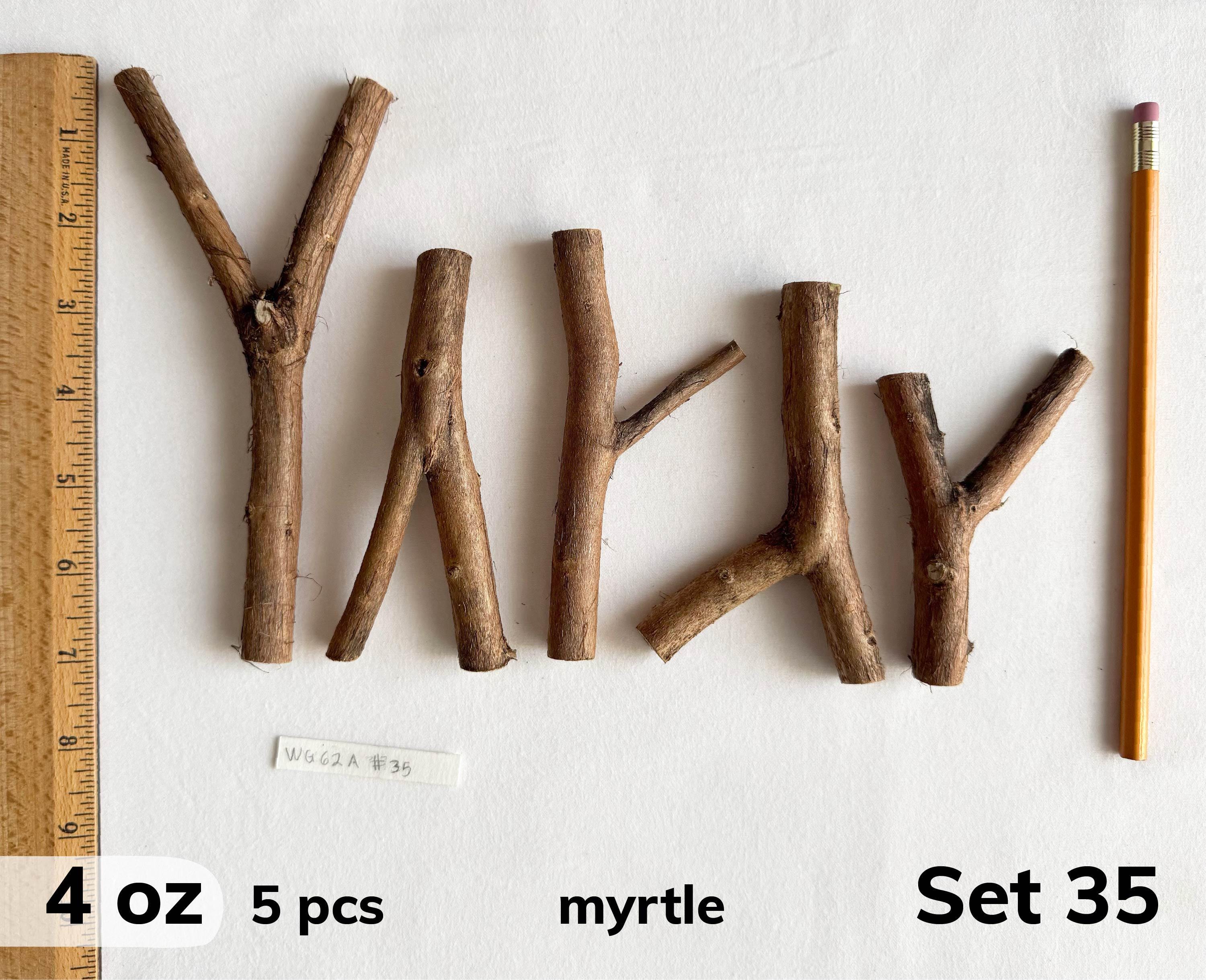 SCRAP Mini Forked Branches, Forked Tip Limbs, Assorted Sticks With Fork ...