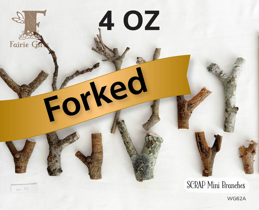 SCRAP Mini Forked Branches, Forked Tip Limbs, Assorted Sticks With Fork ...