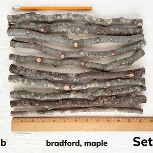 Wood Sticks 12 in One Pound, Wood Branches 1 Lb, Assorted Wooden Sticks ...