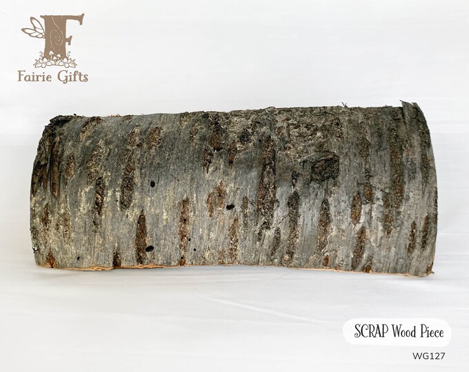 SCRAP Wood Piece, Seconds Wood for Crafts, Decorative Hardwood, Natural ...