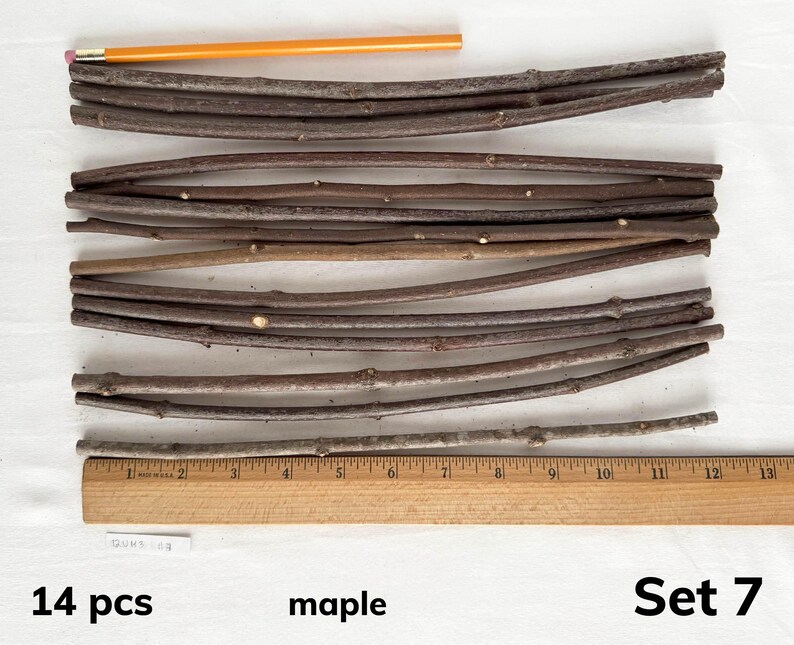 Ultra Thin Maple Wood Sticks: Rustic Craft Twig Bundle (12 In, 12-22 Ct ...