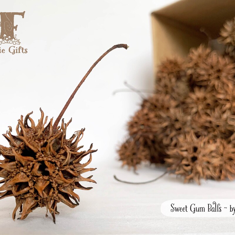 Sweet Gum Ball Crafts - Etsy