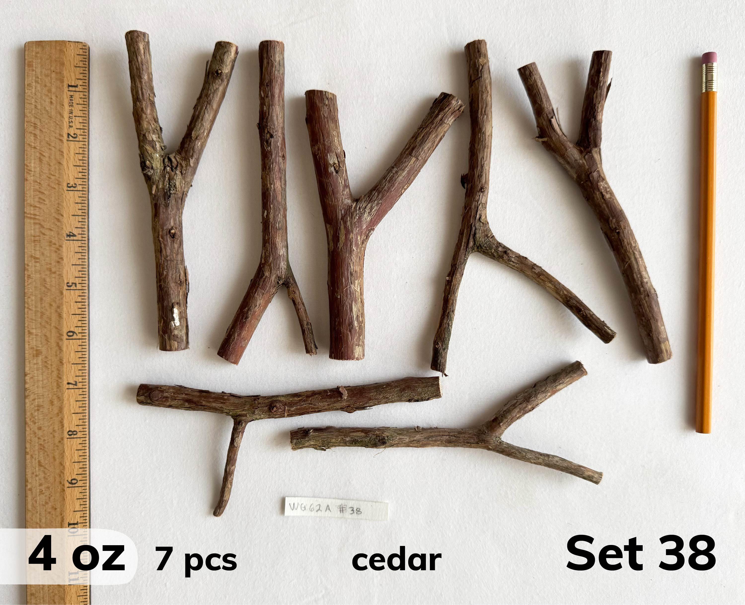 SCRAP Mini Forked Branches, Forked Tip Limbs, Assorted Sticks With Fork ...