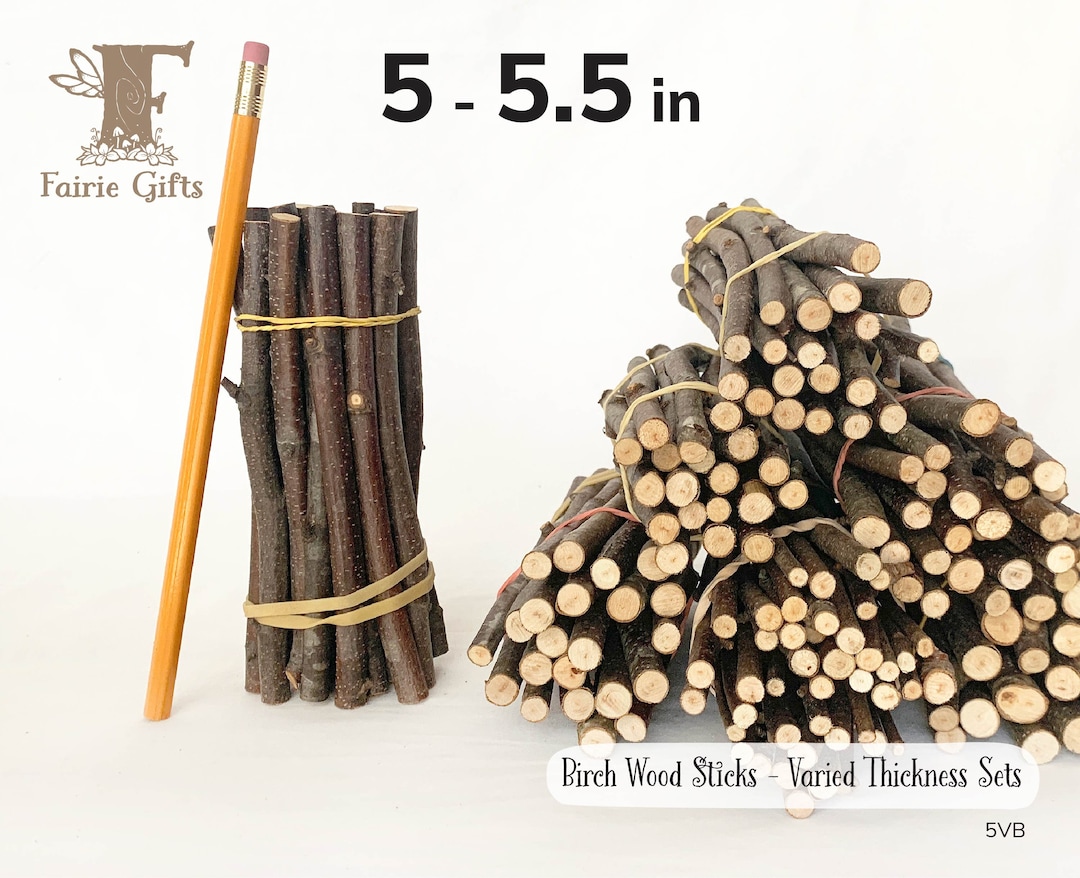 Wood Sticks 5 In, Red Birch Branches, Dried Wooden Sticks, Stem Supply ...