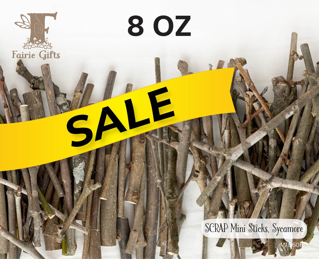 SCRAP Mini Wood Sticks 8 Oz, Sycamore Branches, Seconds Wooden Twigs in ...