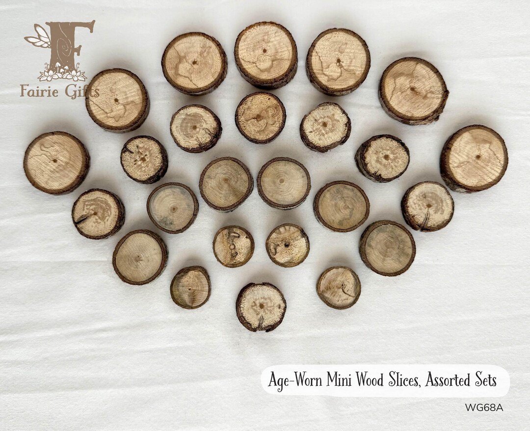 Age-worn Mini Wood Slices From Bradford Pear, Weathered Tree Slices ...