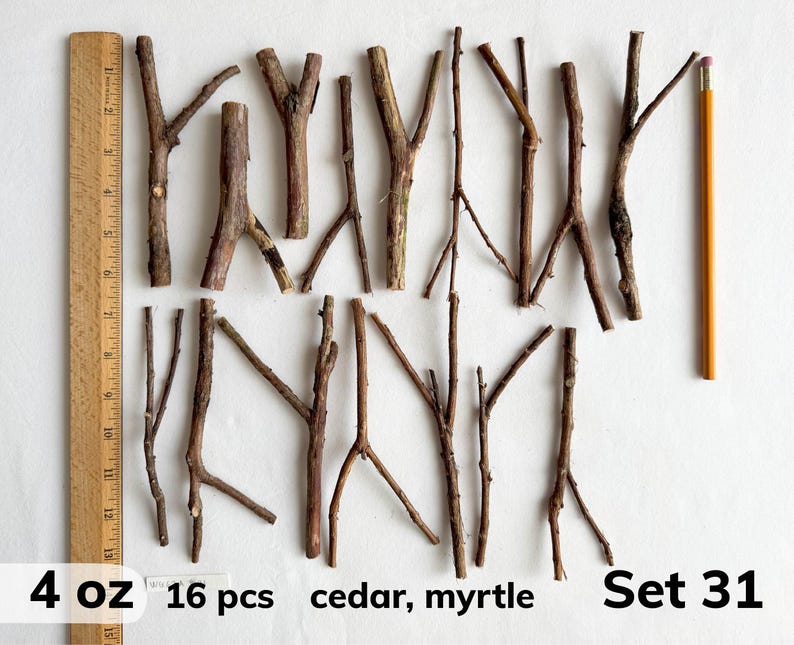 SCRAP Mini Forked Branches, Forked Tip Limbs, Assorted Sticks With Fork ...