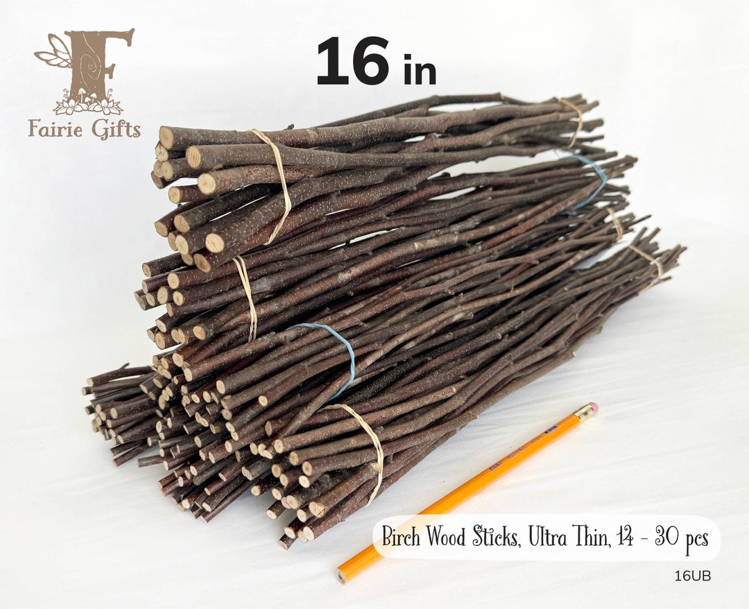 Ultra Thin Wood Sticks 16 In, Red Birch Branches 14-30 Ct, Dried Wooden ...