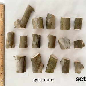 SCRAP Mini Wood Logs 10-16ct, Seconds Wood for Crafts, Tree Supply ...