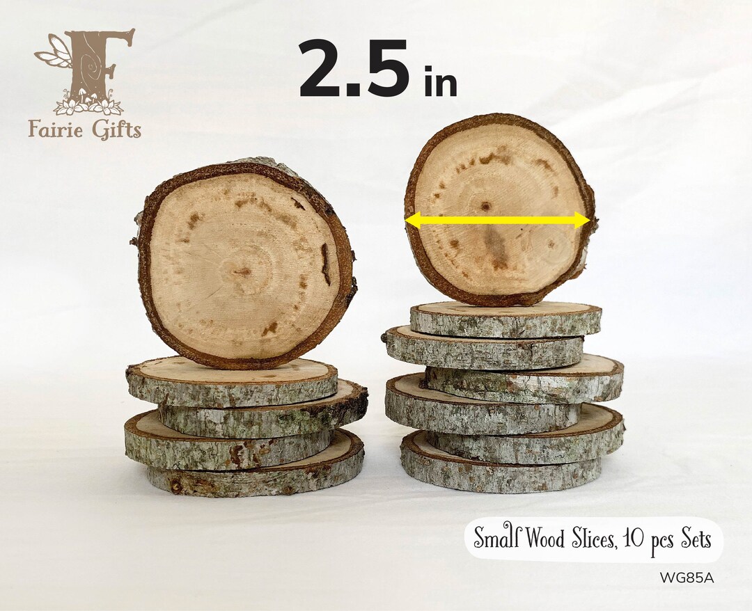 Thin Wood Slices, 10 Ct, Maple Wood Rounds, Rustic Wooden Circles for ...