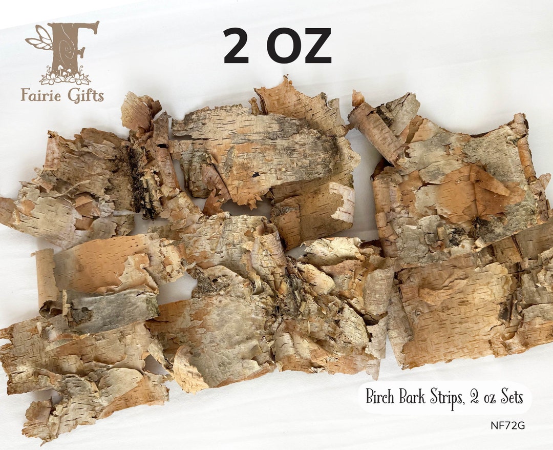 Birch Bark 2oz, Natural Tree Bark, Curly Bark Pieces, Forest Craft ...